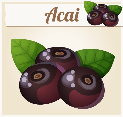 Photographer acai berries cartoon character Vector Image