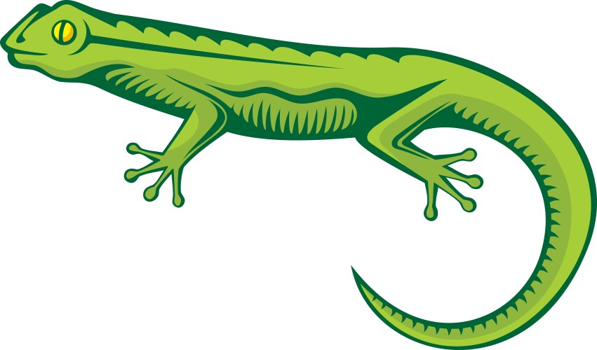 Lizard Vector Images (over 39,000)