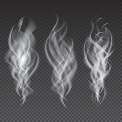 Smoke isolated on transparent background Vector Image