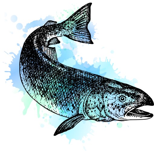 Tropical animals hand drawn Royalty Free Vector Image