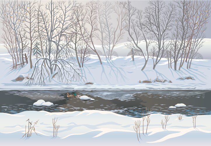 Winter forest wildlife landscape with hills Vector Image