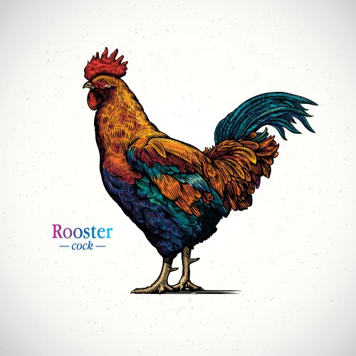 Roster Vector Images (over 1,500)