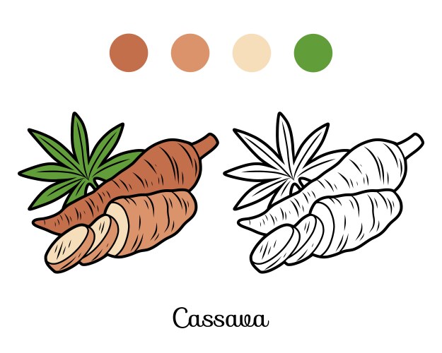 Cassava Vector Images (over 870)