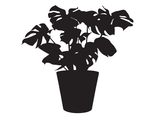 Tropical plant silhouette art Royalty Free Vector Image