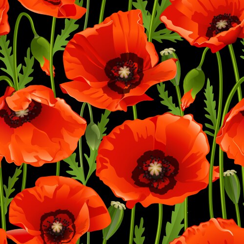 Poppy Vector Images (over 23,000)
