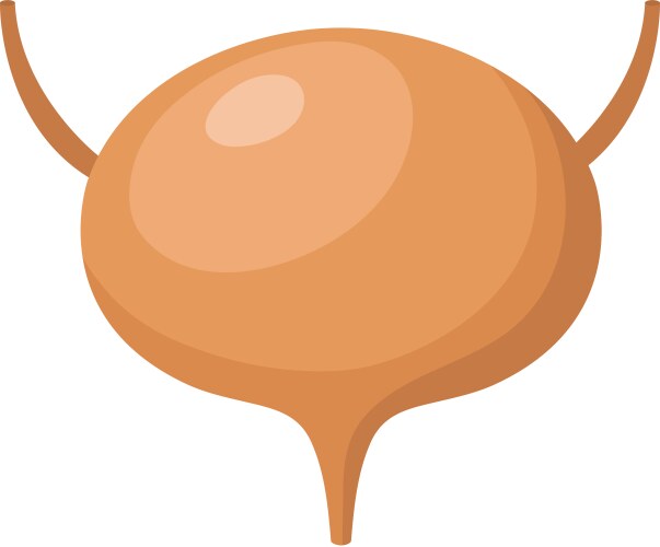 Bladder Cartoon Vector Images (over 2,100)