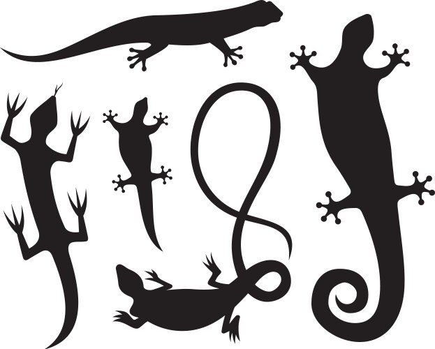 Lizard Vector Images (over 39,000)