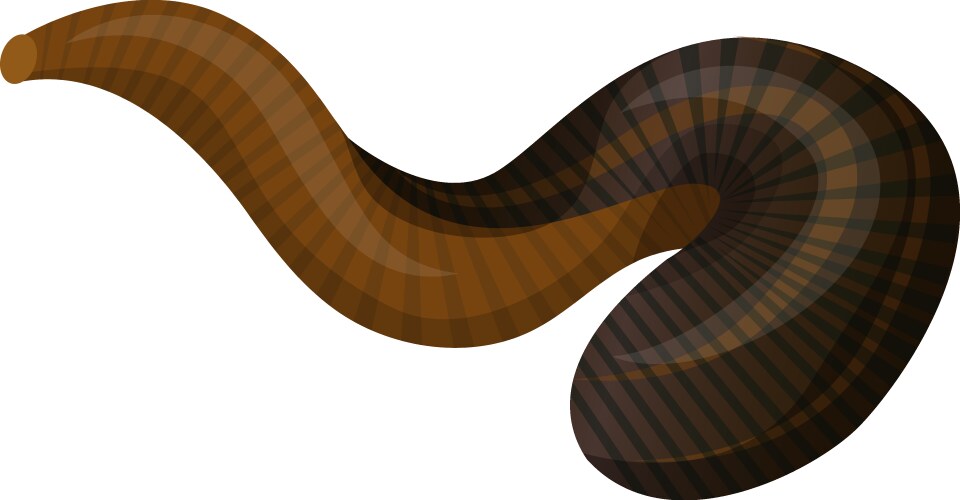Leech dark brown striped bloodsucking worm Vector Image