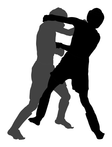 Mma fighters silhouette isolated Royalty Free Vector Image