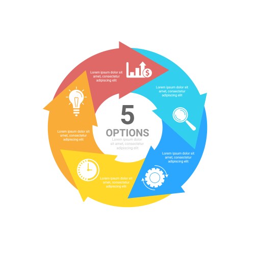 Circle business infographic template with 5 steps Vector Image