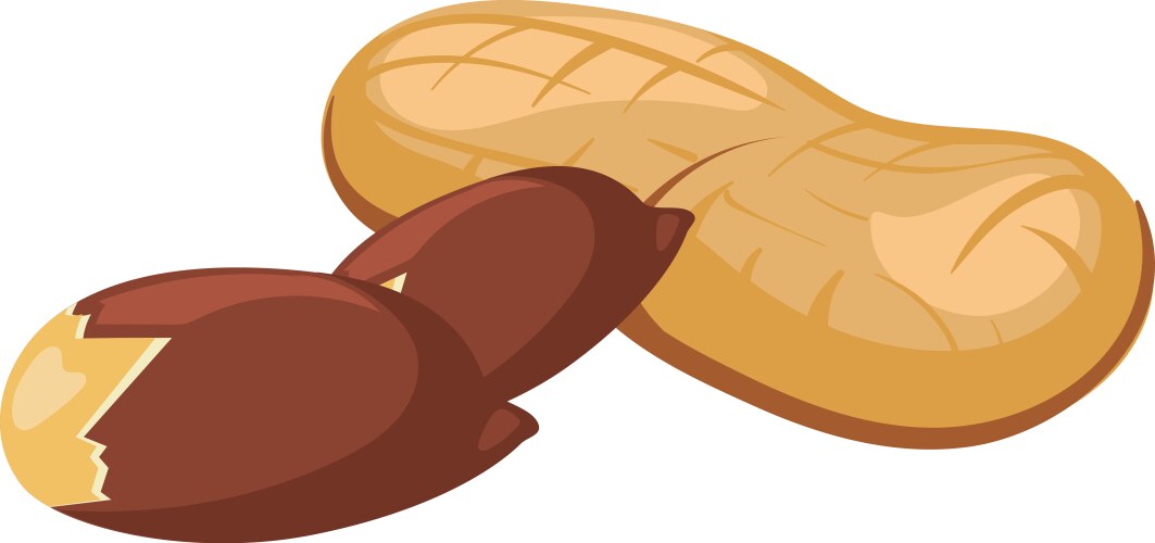 Cartoon color nut and seed grains Royalty Free Vector Image