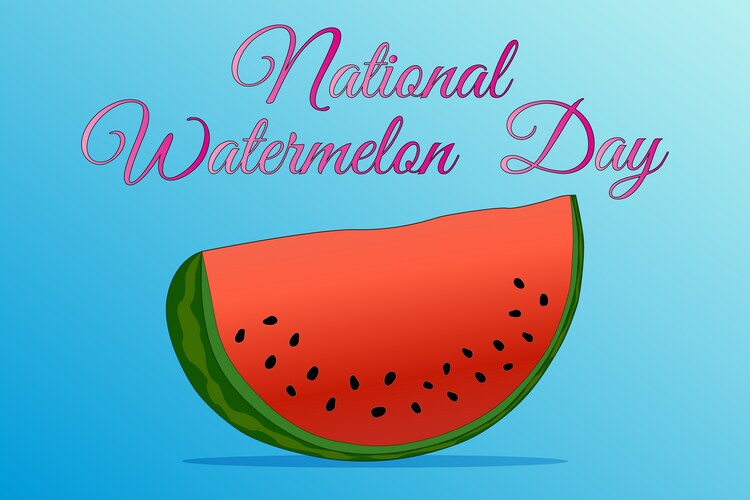 National watermelon day coloring page Royalty Free Vector