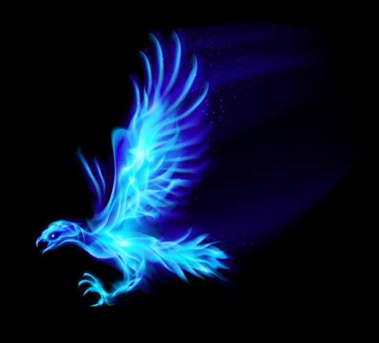 Blue Fire Wings Royalty Free Vector Image - VectorStock