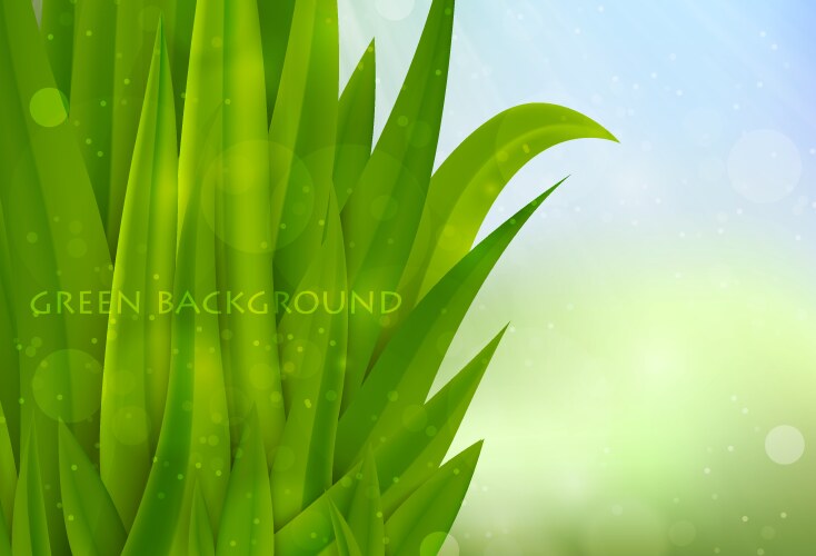 Abstract tree gradient mesh blurred background Vector Image