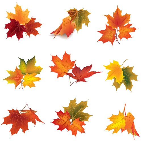 Fall Leaves Vector Images (over 90,000)