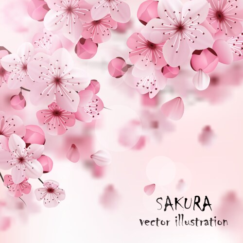 Sakura cartoon concept Royalty Free Vector Image