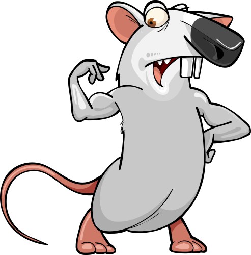 Rat Royalty Free Vector Image - VectorStock