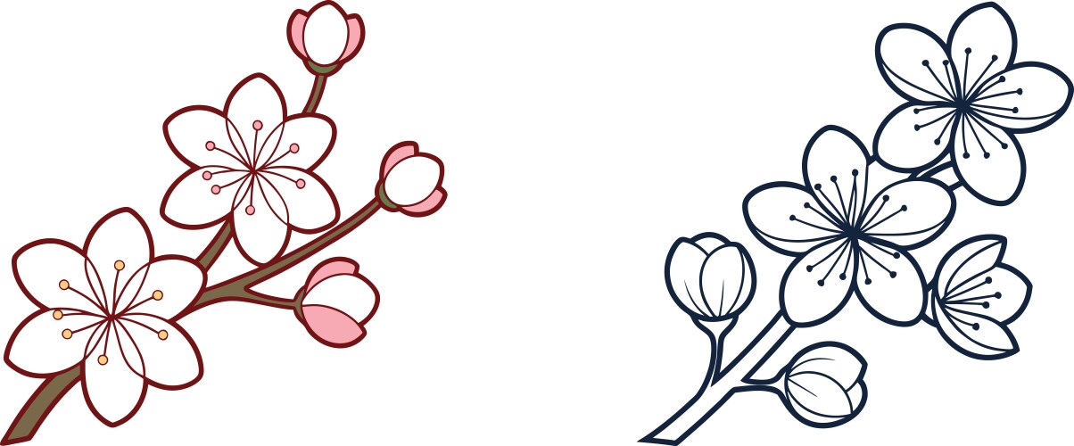 Cherry Blossom Outline Vector Images (over 2,700)