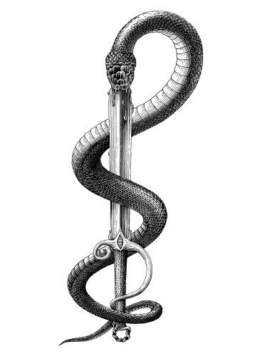 Hand drawing snake wrapped around dagger tattoo Vector Image