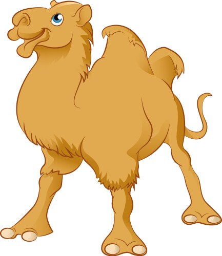 Character camel Royalty Free Vector Image - VectorStock