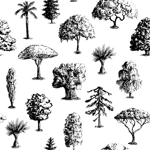 Acacia Tree Vector Images (over 2,100)