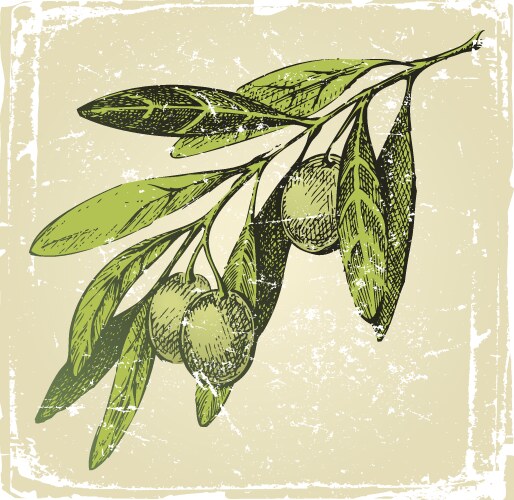 Branch Vector Images (over 620,000)