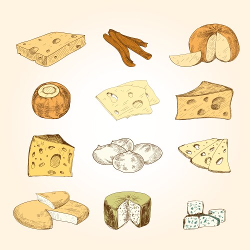 Hand drawn cheese doodle appetizers and food Vector Image