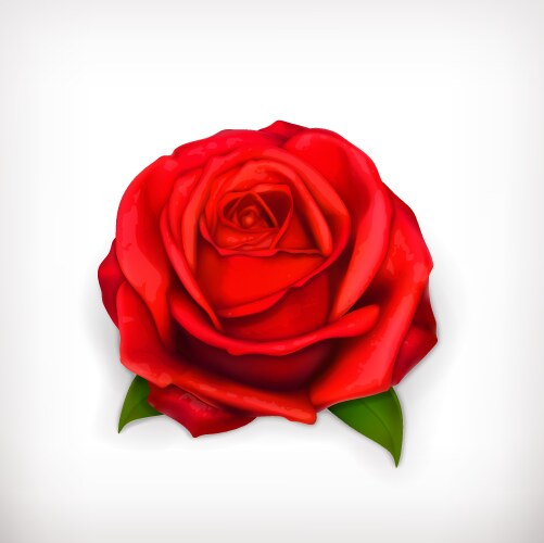Rose Vector Images (over 290,000)