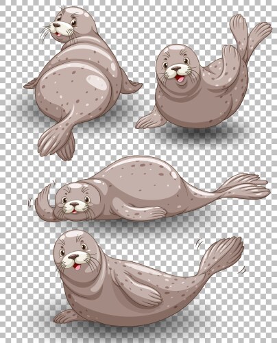 Animated Seal Vector Images (over 18,000)