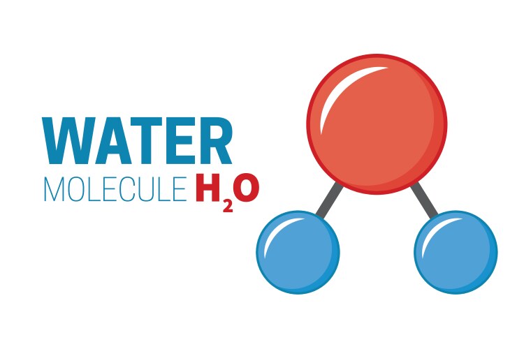 Water molecule h2o atomic chemical structure Vector Image