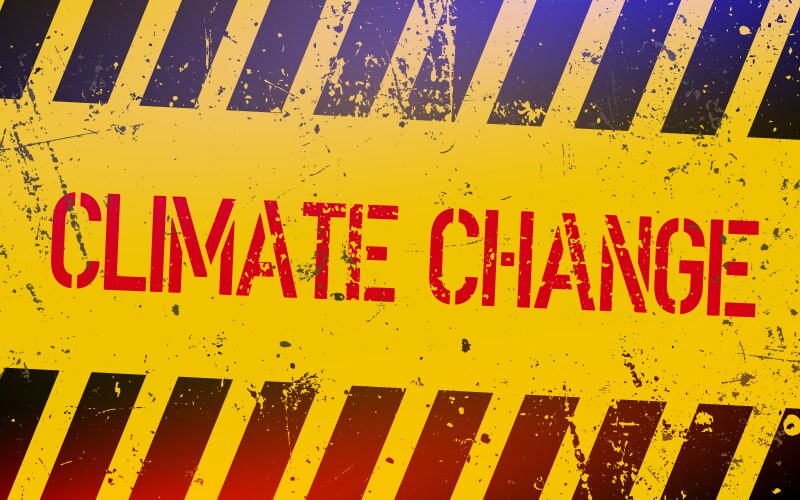 Forest wildfire signs climate change Royalty Free Vector