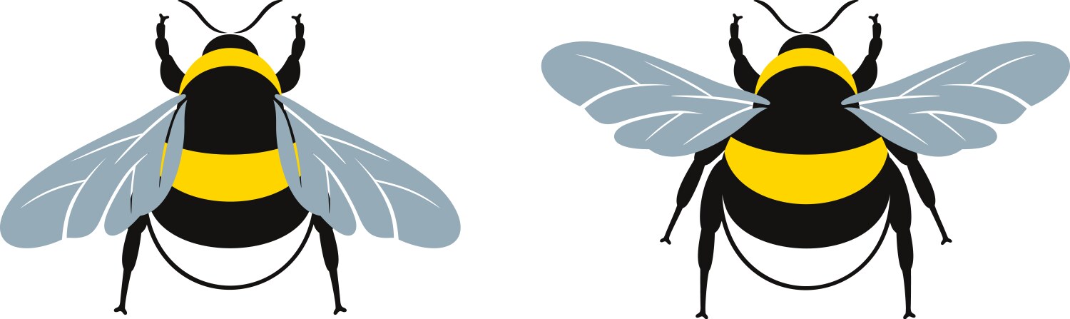 Bumblebee Vector Images (over 18,000)