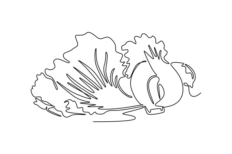 Single continuous line drawing of whole healthy Vector Image