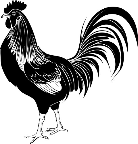 Victor Background Vector Images (over 560)