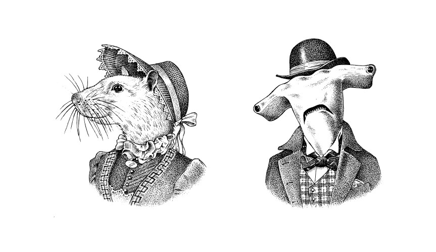Sherlock holmes - great mouse detective cartoon Vector Image