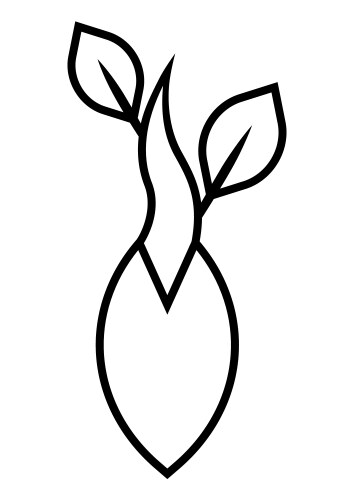 Seeds germination stages for sowing agricultural Vector Image