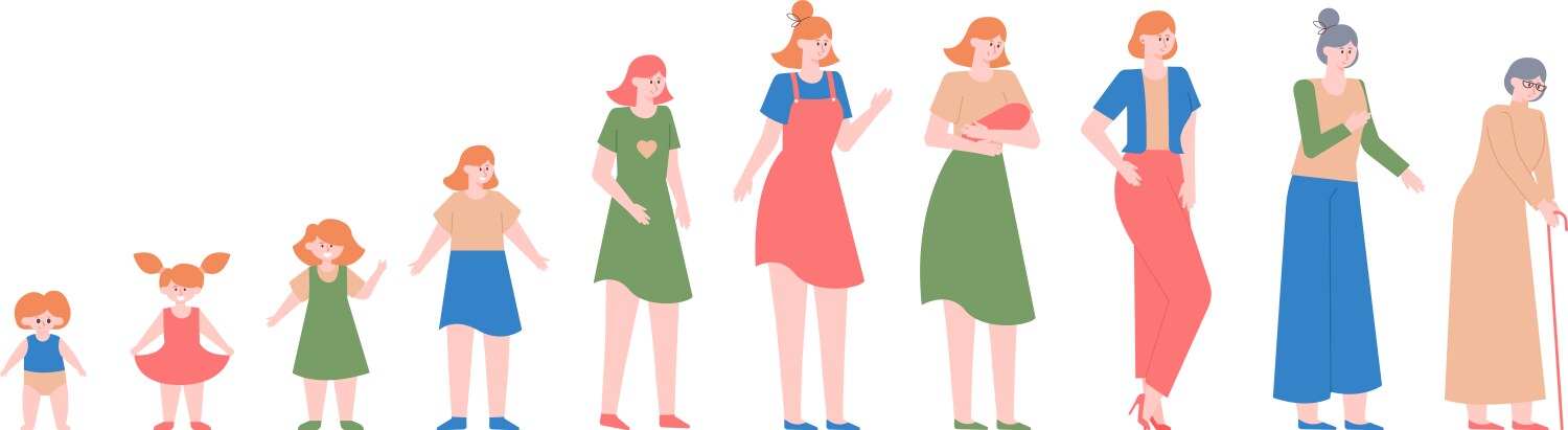 Female different ages baby young girl adult Vector Image