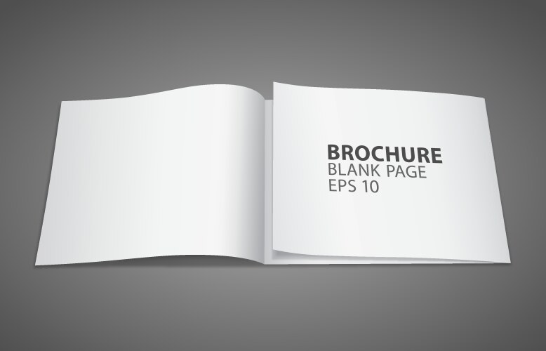 Empty brochure design template Royalty Free Vector Image