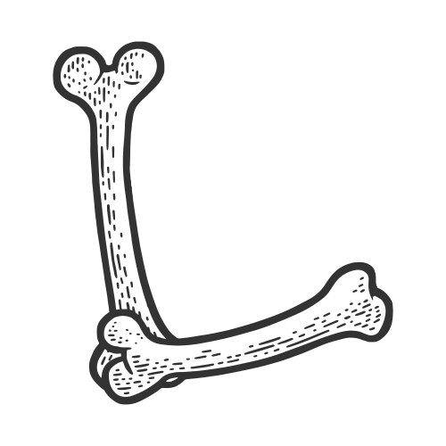 Letter c made of bones sketch Royalty Free Vector Image