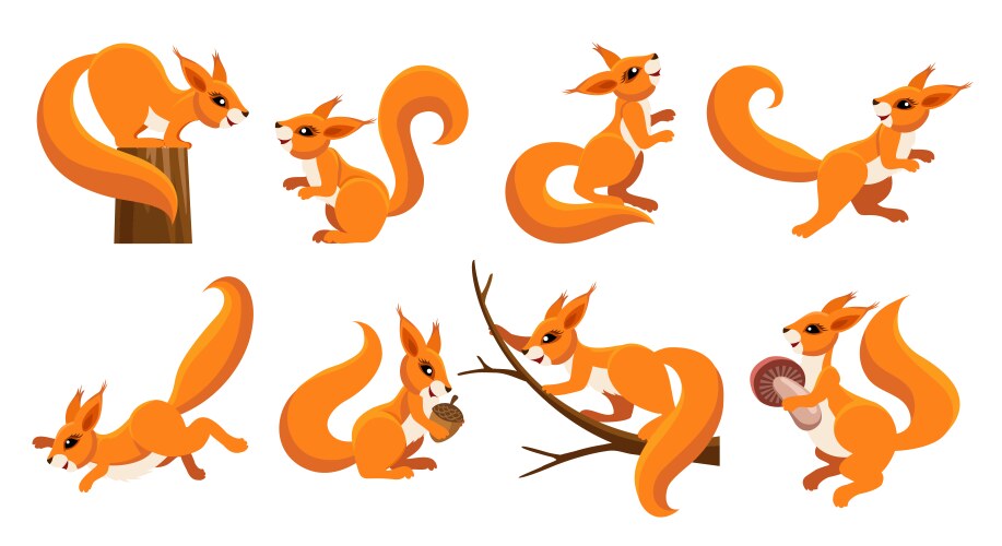 Funny squirrel cartoon forest red squirrels with Vector Image