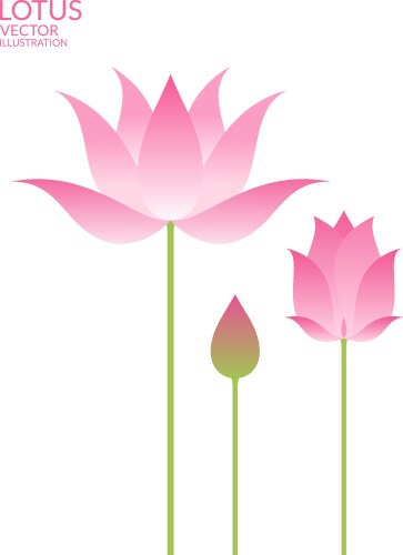 Lotus Vector Images (over 100,000)