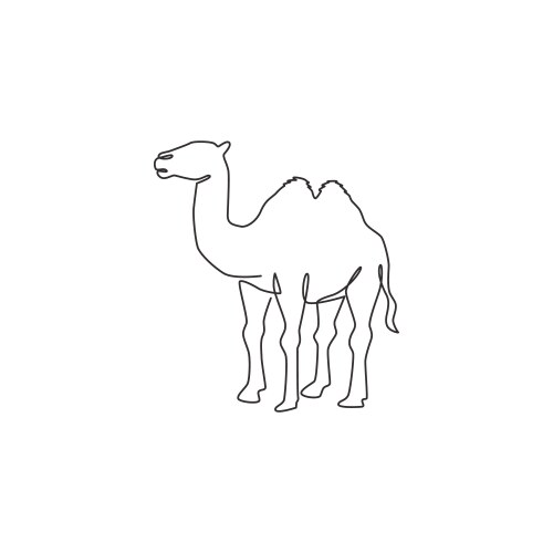 Camel Line Drawing Vector Images (over 880)