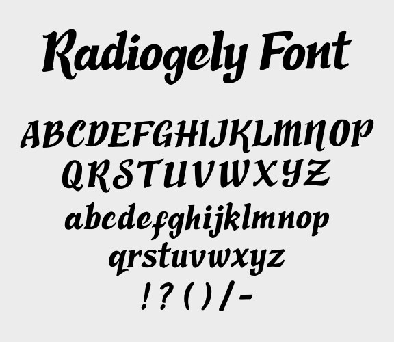 Calligraphy handwritten alphabet Royalty Free Vector Image