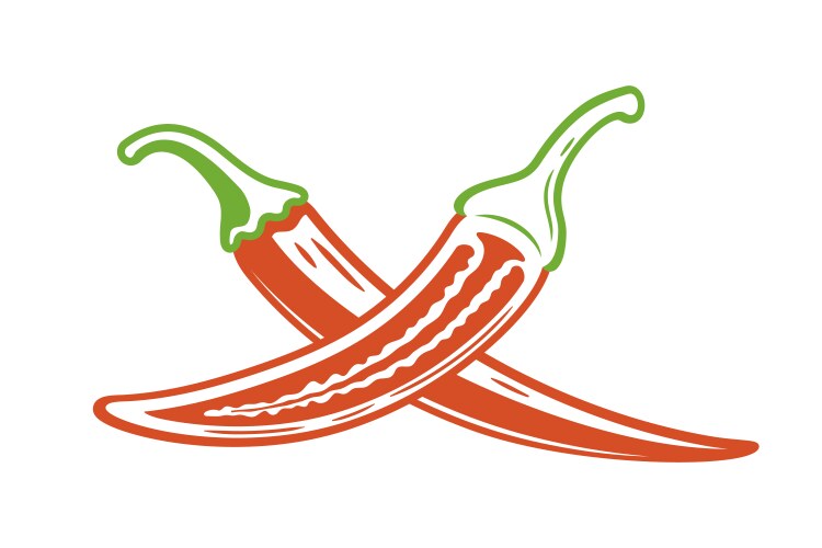Chili hot pepper sketch drawing Royalty Free Vector Image