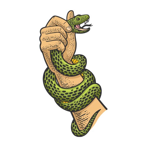 Hand drawing snake wrapped around dagger tattoo Vector Image