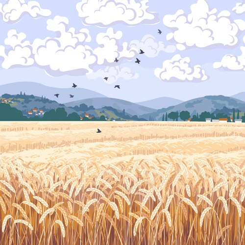 Wheat Field Vector Images (over 28,000)