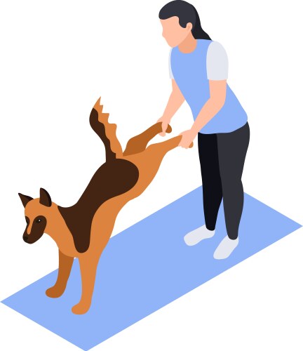 Dog training obedience Royalty Free Vector Image
