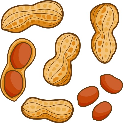 Set icon peanuts Royalty Free Vector Image - VectorStock