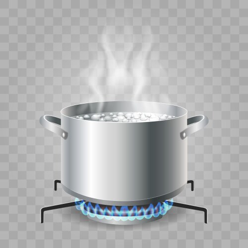 Boiling water in aluminium pot on gas flame Vector Image