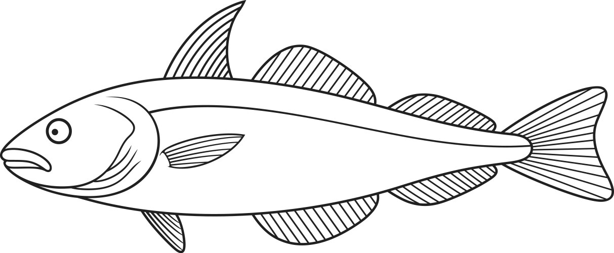 Haddock Royalty Free Vector Image - VectorStock